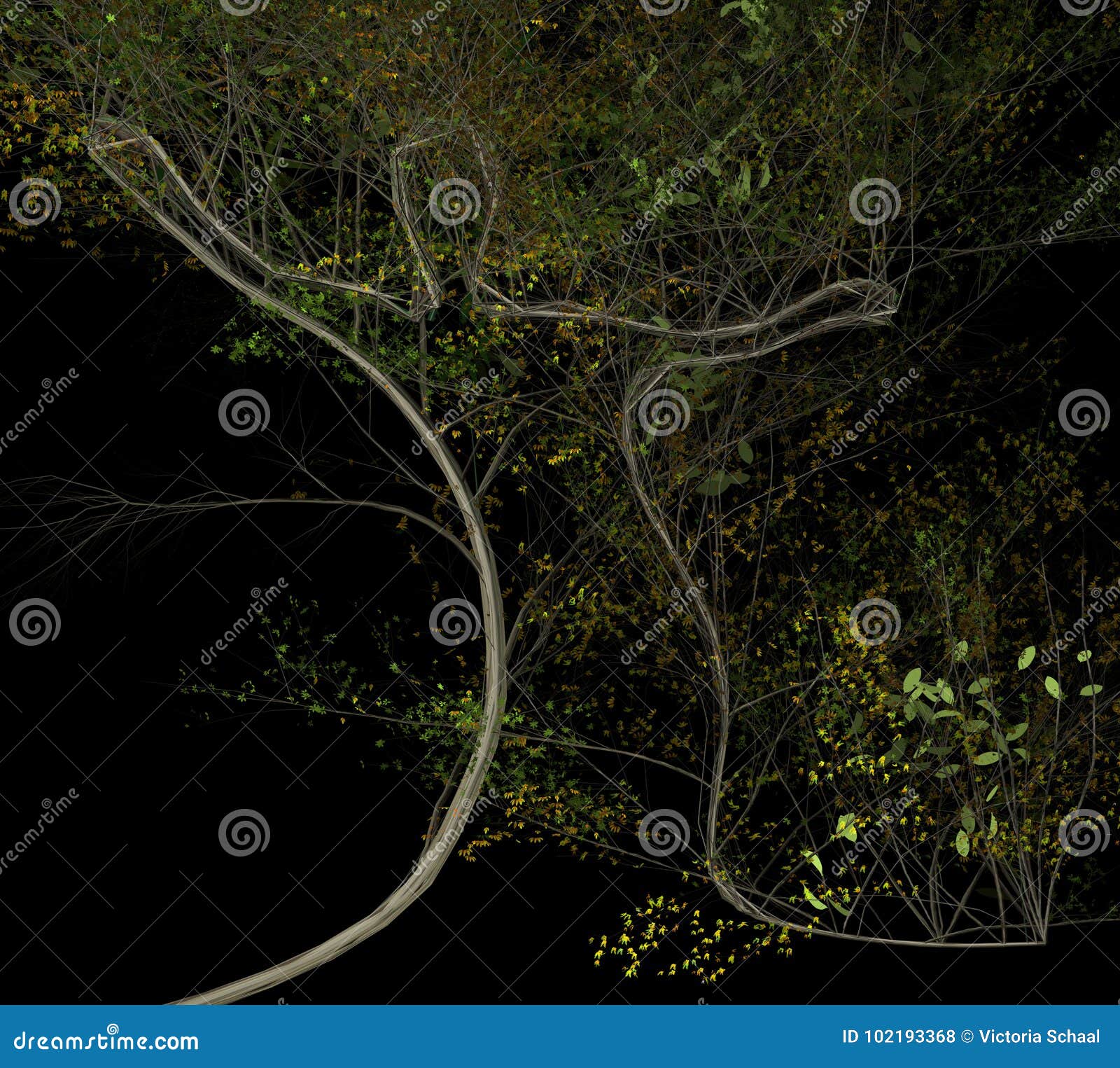 Human Shaped Tree Growing 3d Illustration Stock Illustration ...