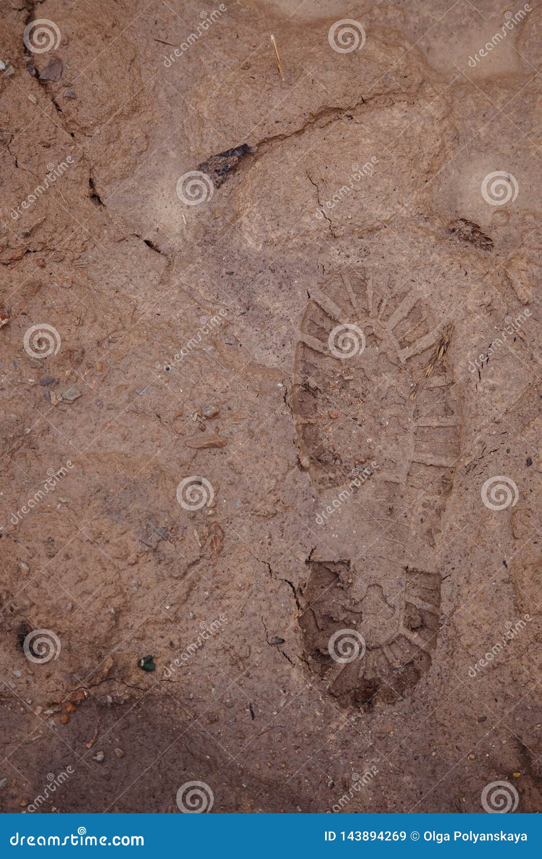 Shoe Print In Mud