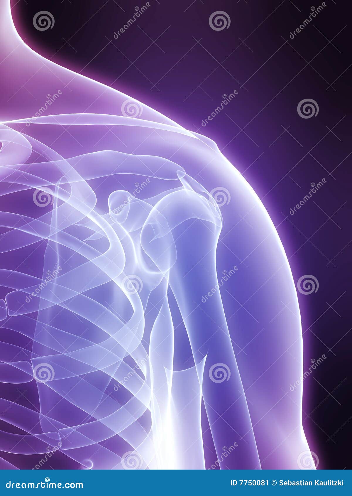 Human shoulder stock illustration. Illustration of arthritis - 7750081
