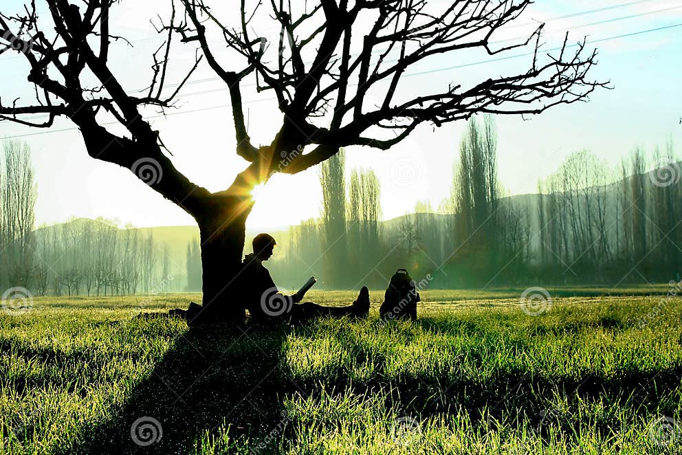 Human Silhouette Reading a Book Under a Tree Stock Image - Image of ...