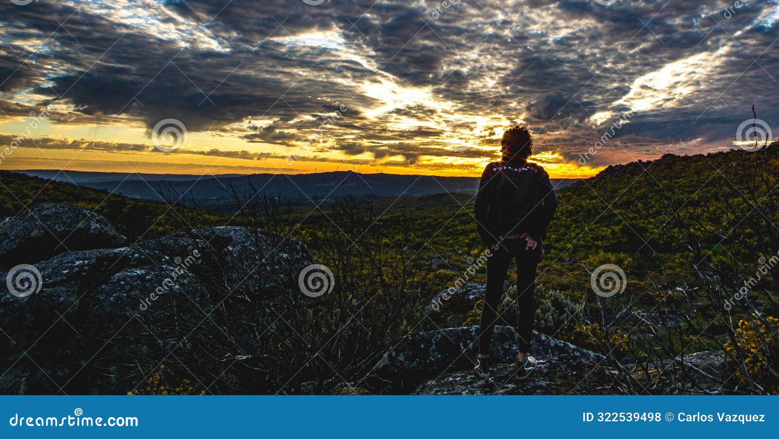 Human silhouette at sunset stock photo. Image of vegetation - 322539498