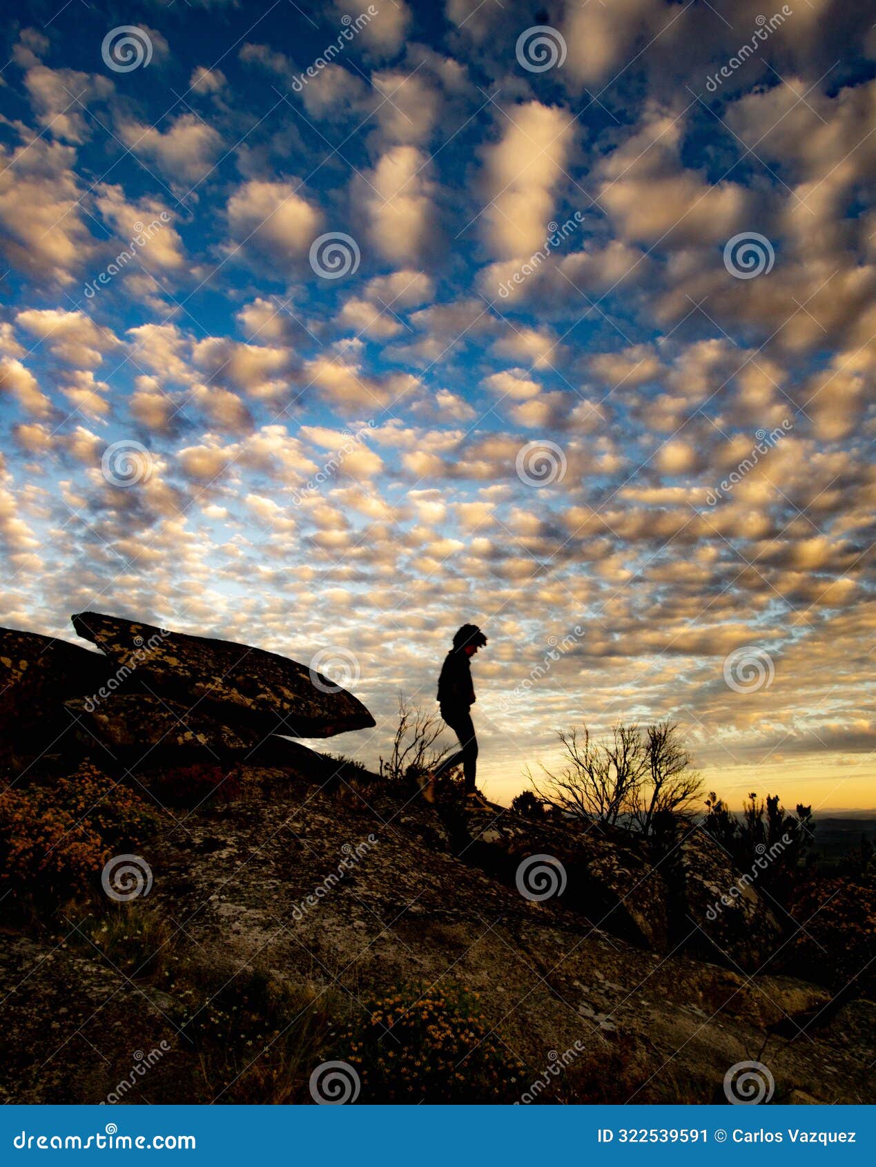 Human silhouette at sunset stock image. Image of unique - 322539591