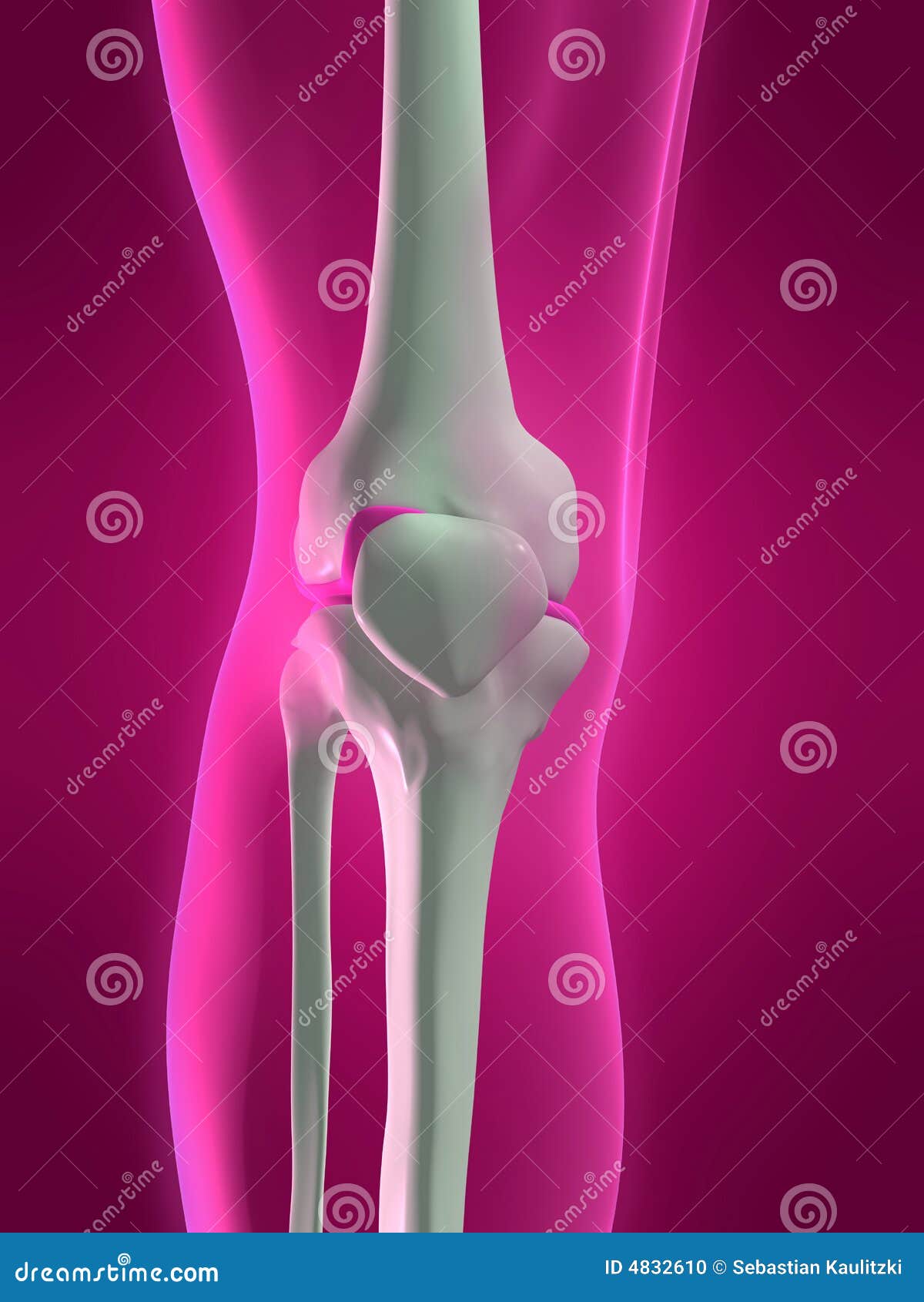 Human skeletal knee stock illustration. Illustration of health - 4832610