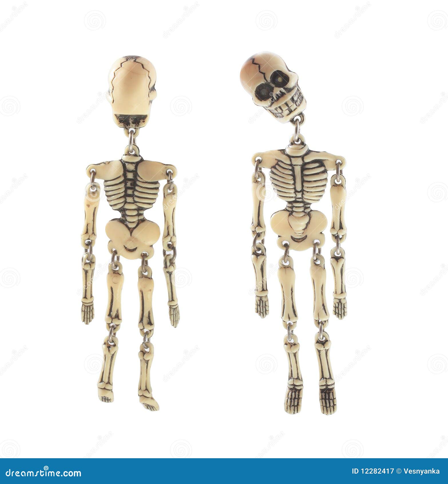 188 Skeleton Front Back Stock Photos - Free & Royalty-Free Stock Photos ...