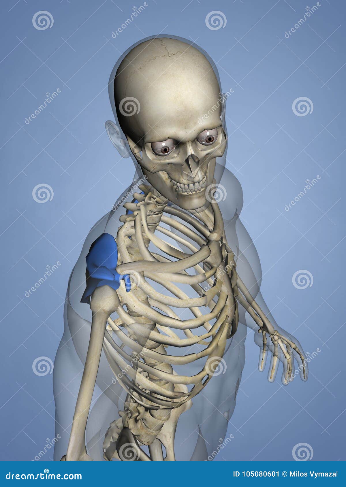 Shoulder Wing Span Exercise. Stretch To Relieve Shoulder Pain Cartoon ...