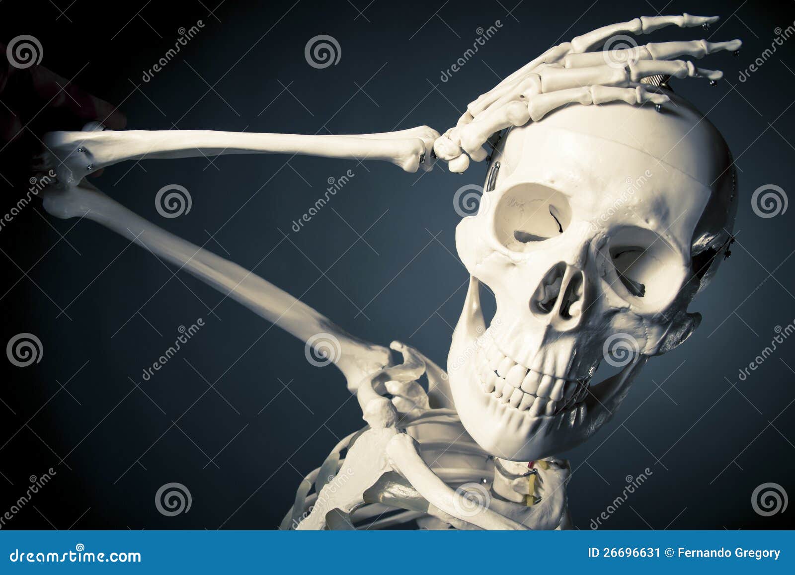 Human Skeleton Body, Forget Concept Stock Image - Image of forgot ...