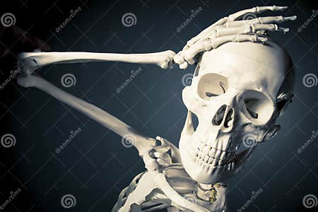Human Skeleton Body, Forget Concept Stock Image - Image of forgot ...