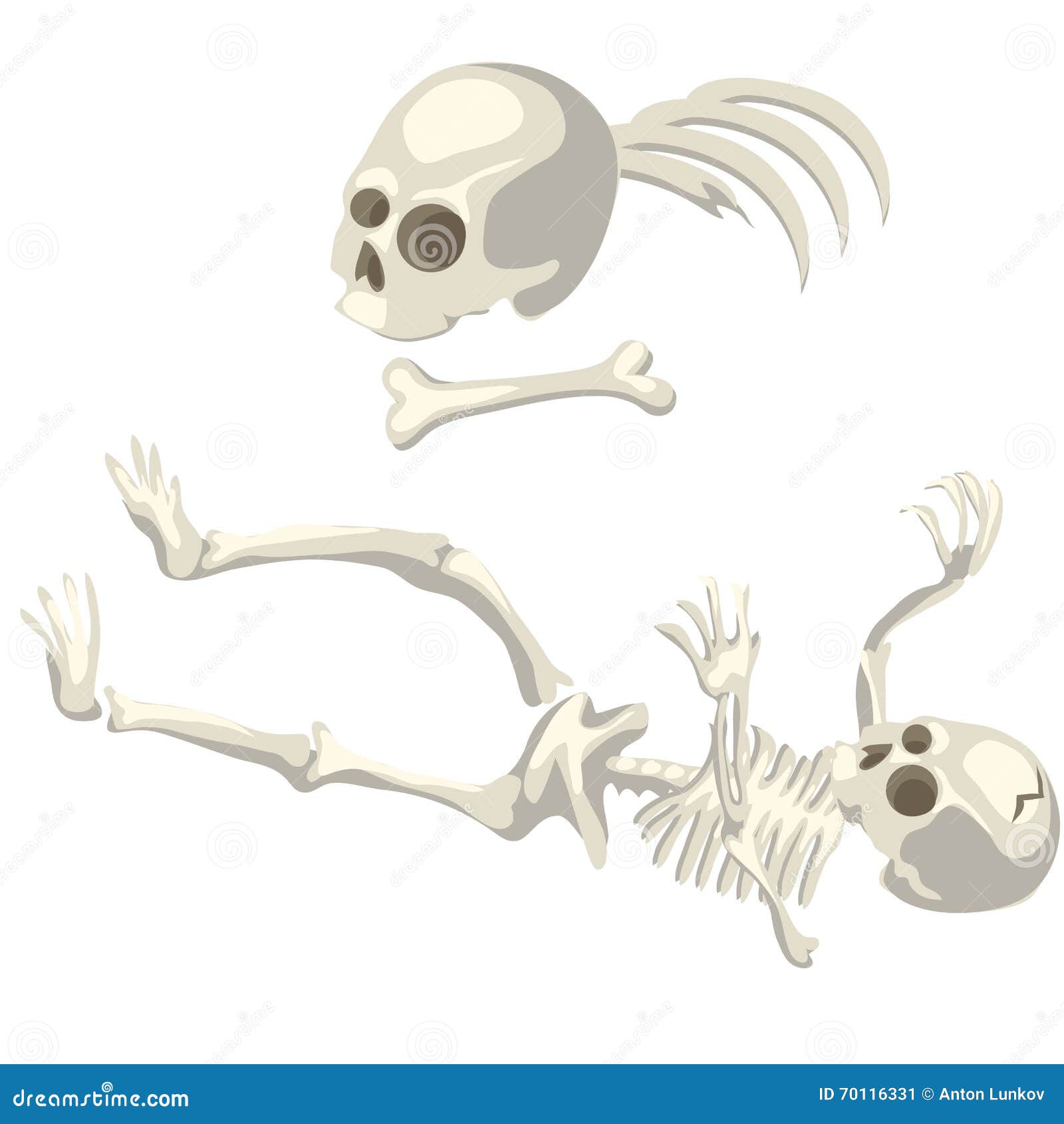 Human Skeleton and Bones Different Parts of Body Stock Vector ...