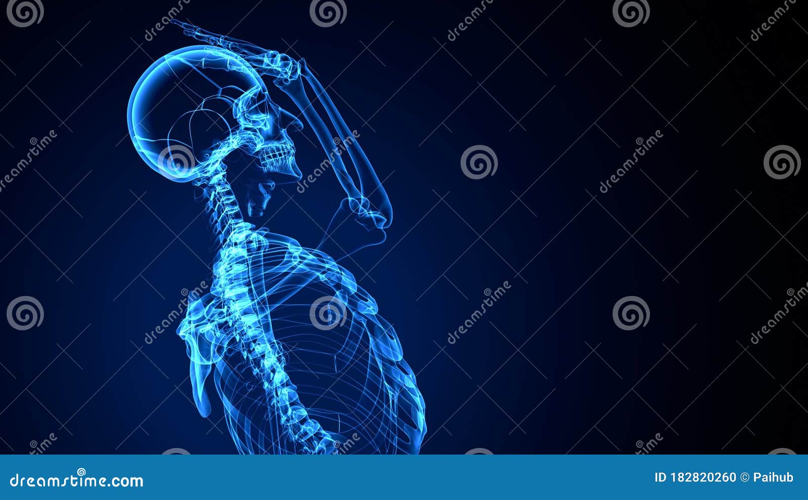 3d Render of Skeleton Poster Design Anatomy Frame Stock Illustration ...