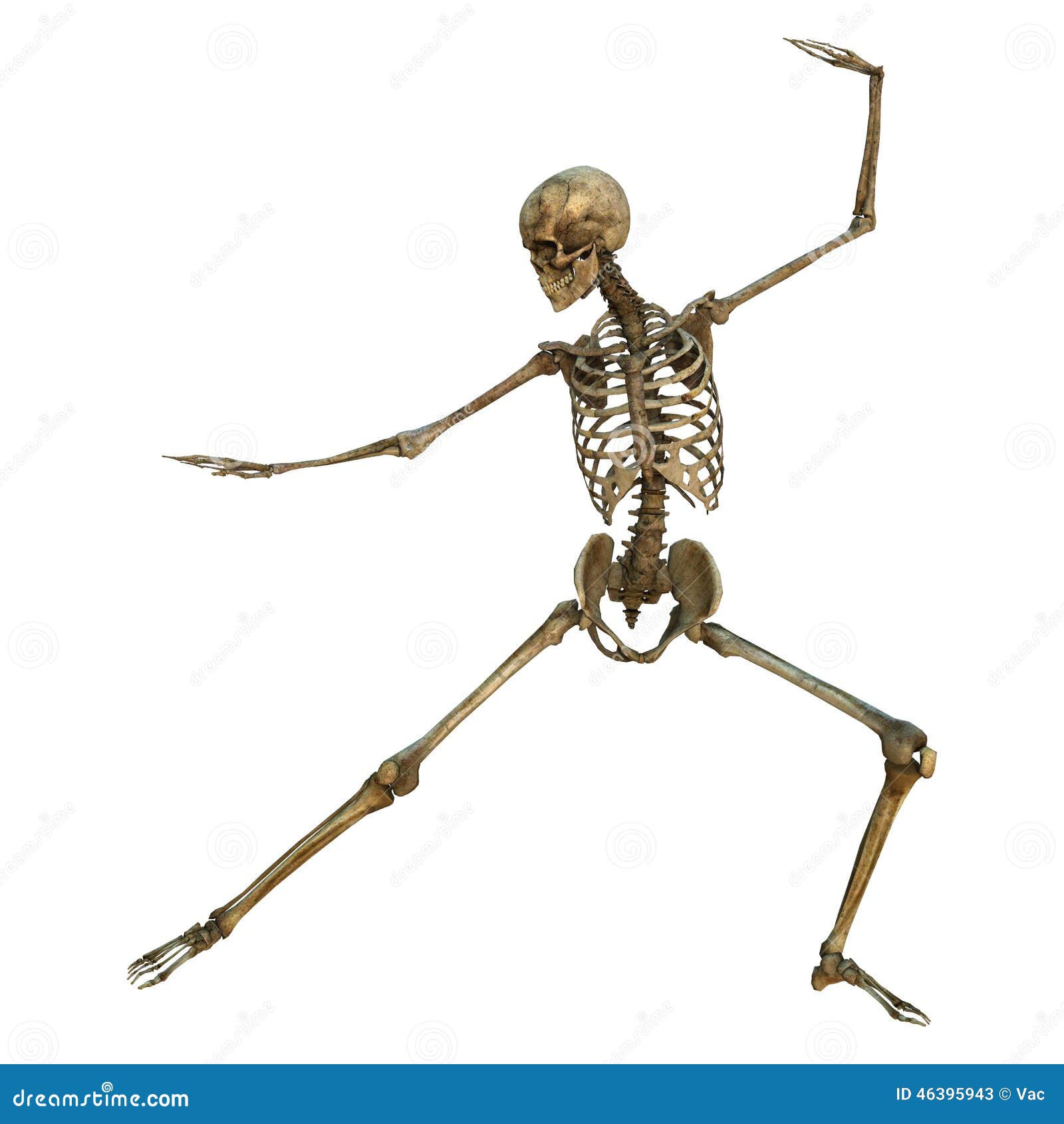 Bow Position Stock Illustrations – 405 Bow Position Stock Illustrations ...