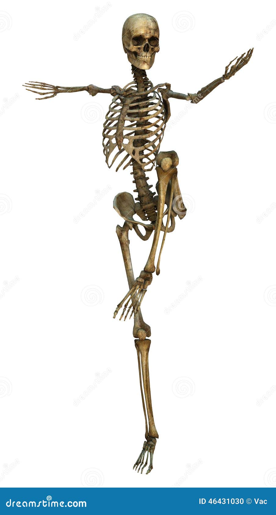 Chicken Position Stock Illustrations – 185 Chicken Position Stock ...