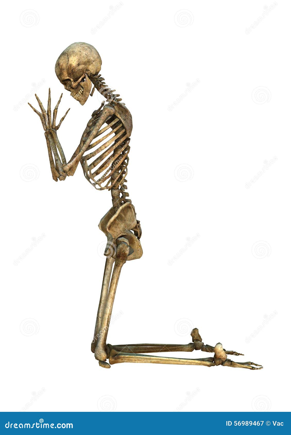 Skeleton Praying Hands With Rosary Cartoon Vector | CartoonDealer.com ...