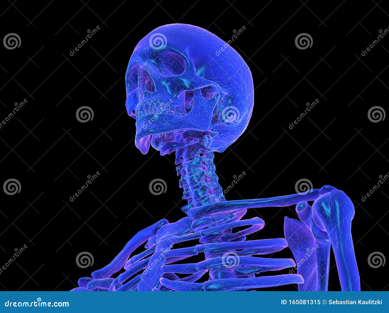 A human skeleton stock illustration. Illustration of connection - 165081315