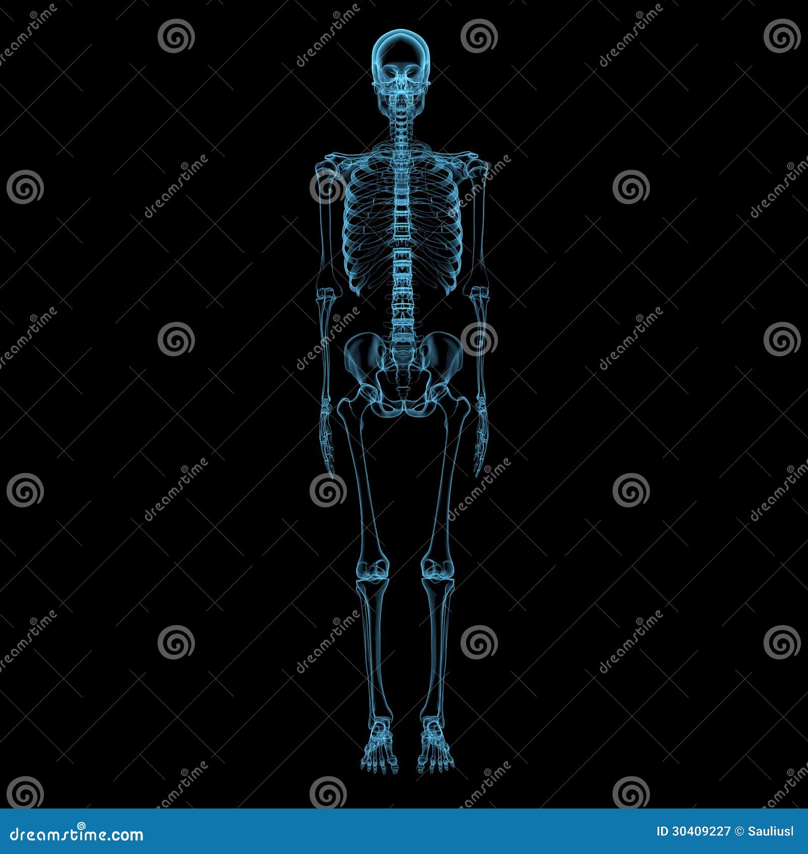 Human Skeleton Using Computer Keyboard At Grey Marble Table Stock Photo ...