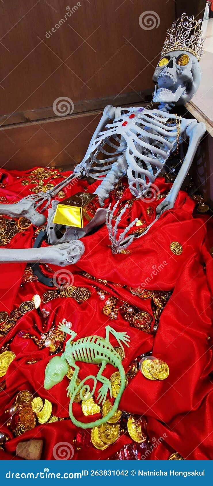 A Human Skeleton Displayed in a Treasure Box. Stock Photo - Image of ...