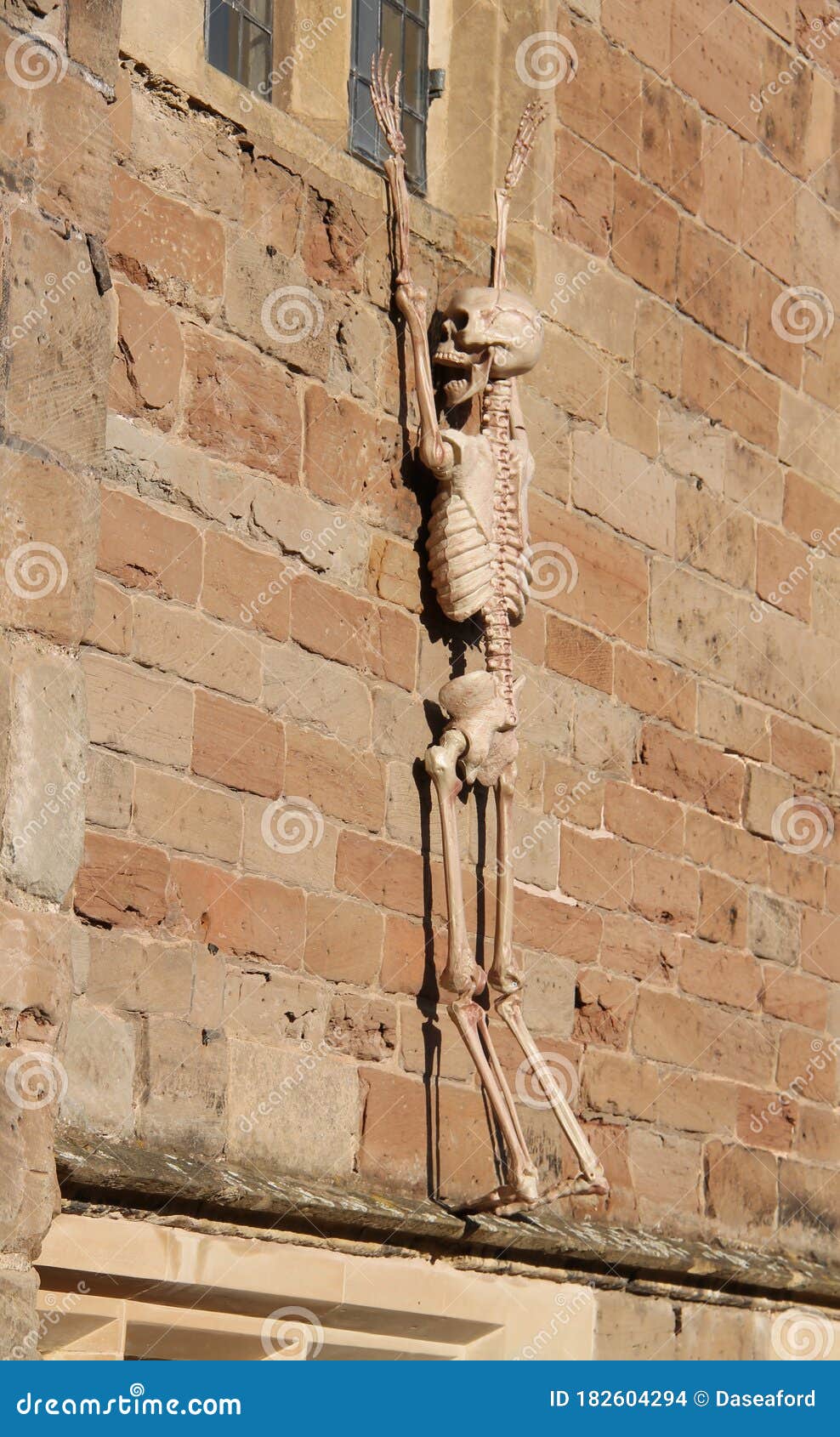 Skeleton Figure And Legend Stock Photo | CartoonDealer.com #65079504