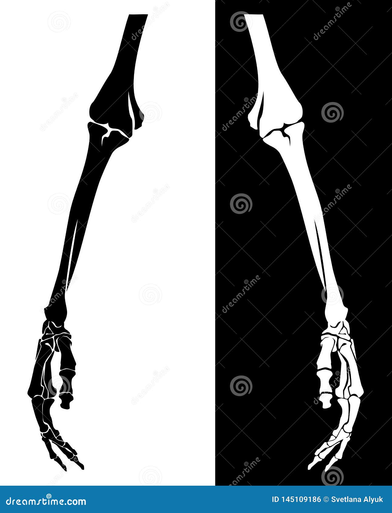 Human Skeleton Hand Black Vector Design Stock Vector - Illustration of ...