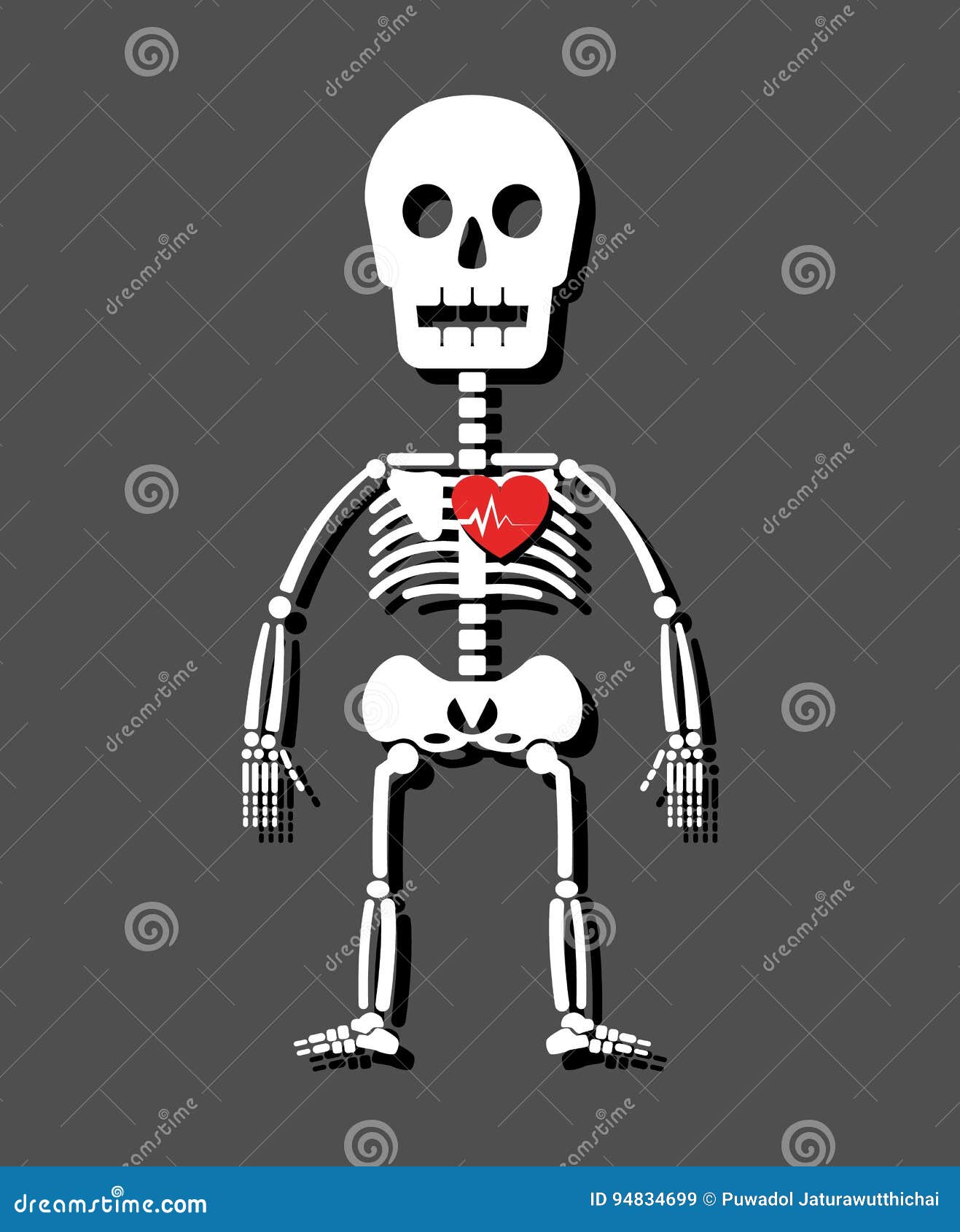 Human Skeleton and Heart . Cartoon Style Stock Vector - Illustration of ...