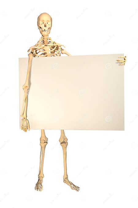 Human Skeleton Holding Sign Stock Photo - Image of evanescence ...