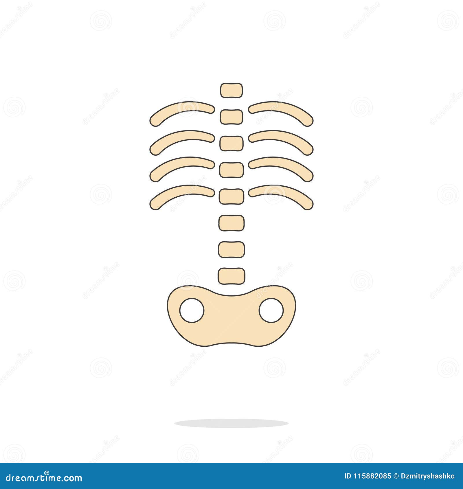 Human skeleton icon stock vector. Illustration of dead - 115882085