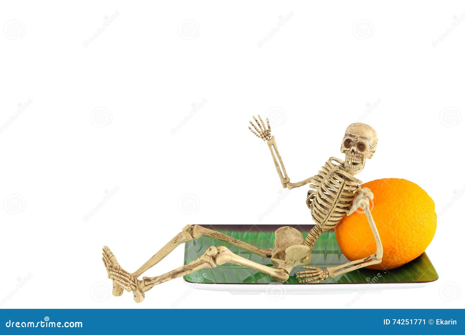 Human Skeleton Leaning on Orange, Relaxing Stock Image - Image of ...