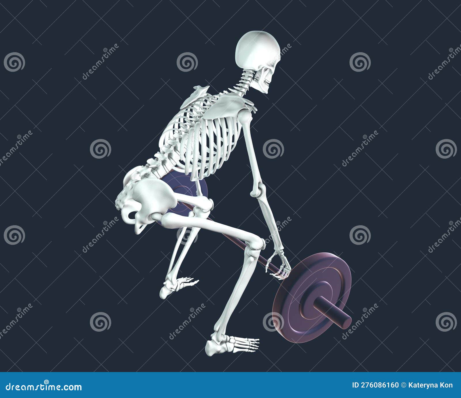 A Human Skeleton Lifting a Barbell, 3d Illustration Stock Illustration ...