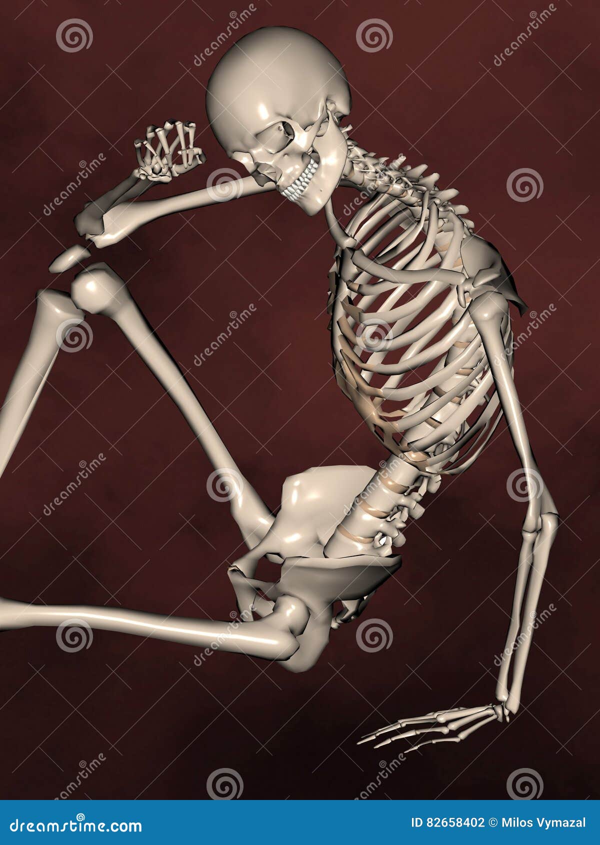 Human Skeleton M-SK-POSE G-08-5, 3D Model Stock Illustration ...