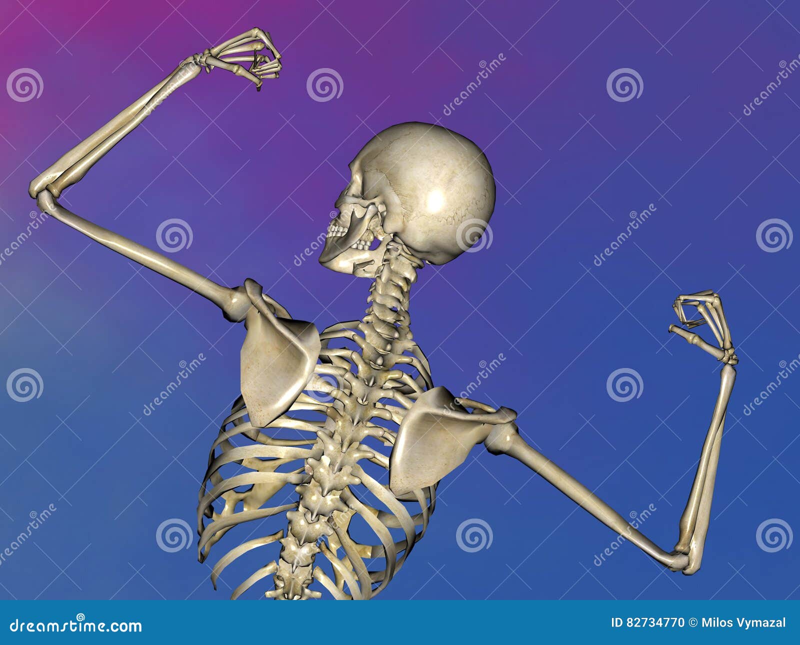 Human skeleton M-SK-POSE stock illustration. Illustration of anatomy ...