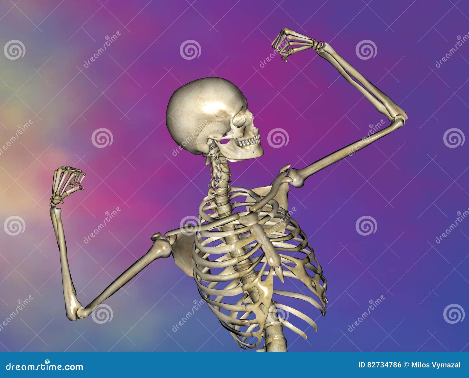 Human skeleton M-SK-POSE stock illustration. Illustration of model ...