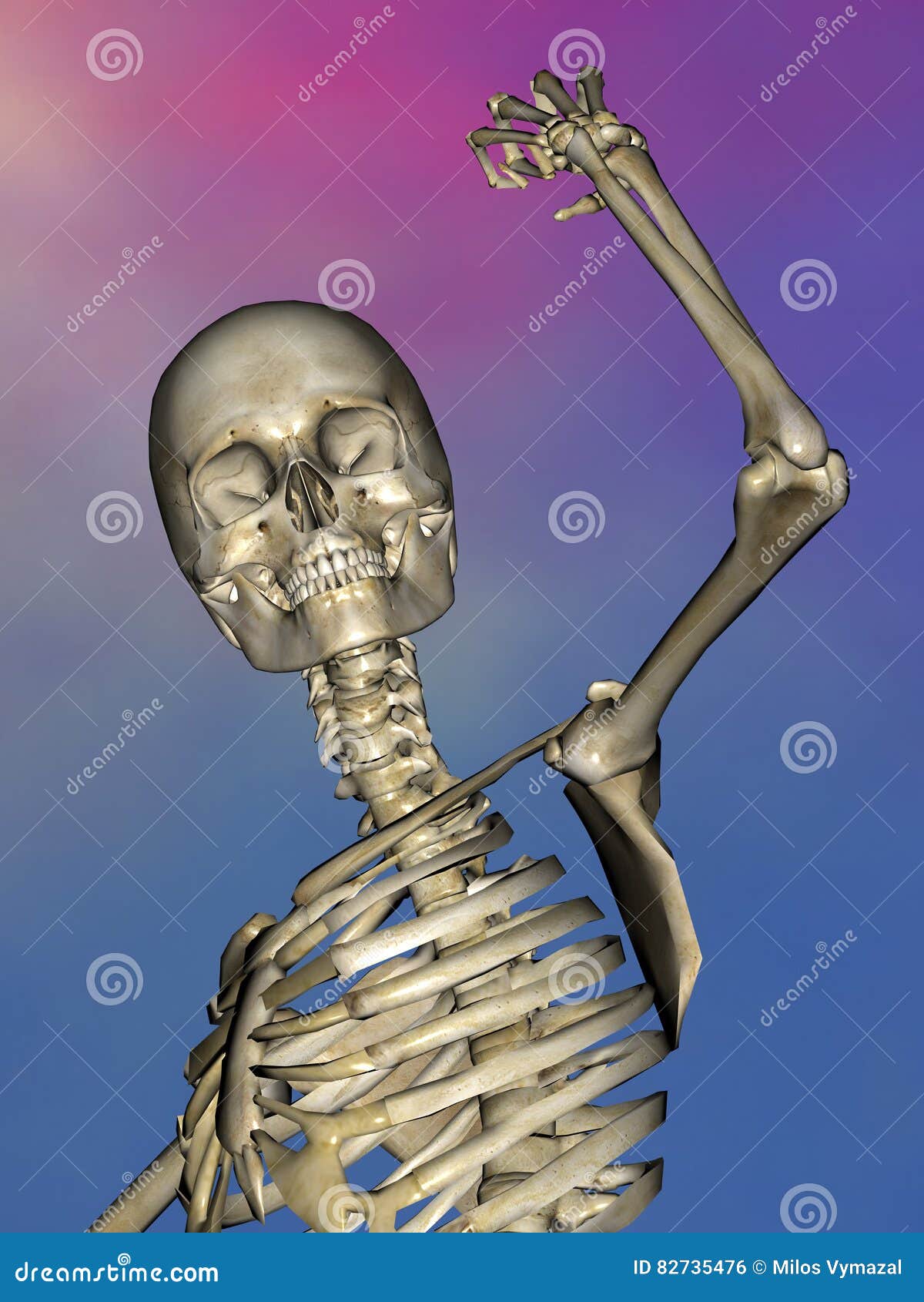 Human skeleton M-SK-POSE stock illustration. Illustration of point ...