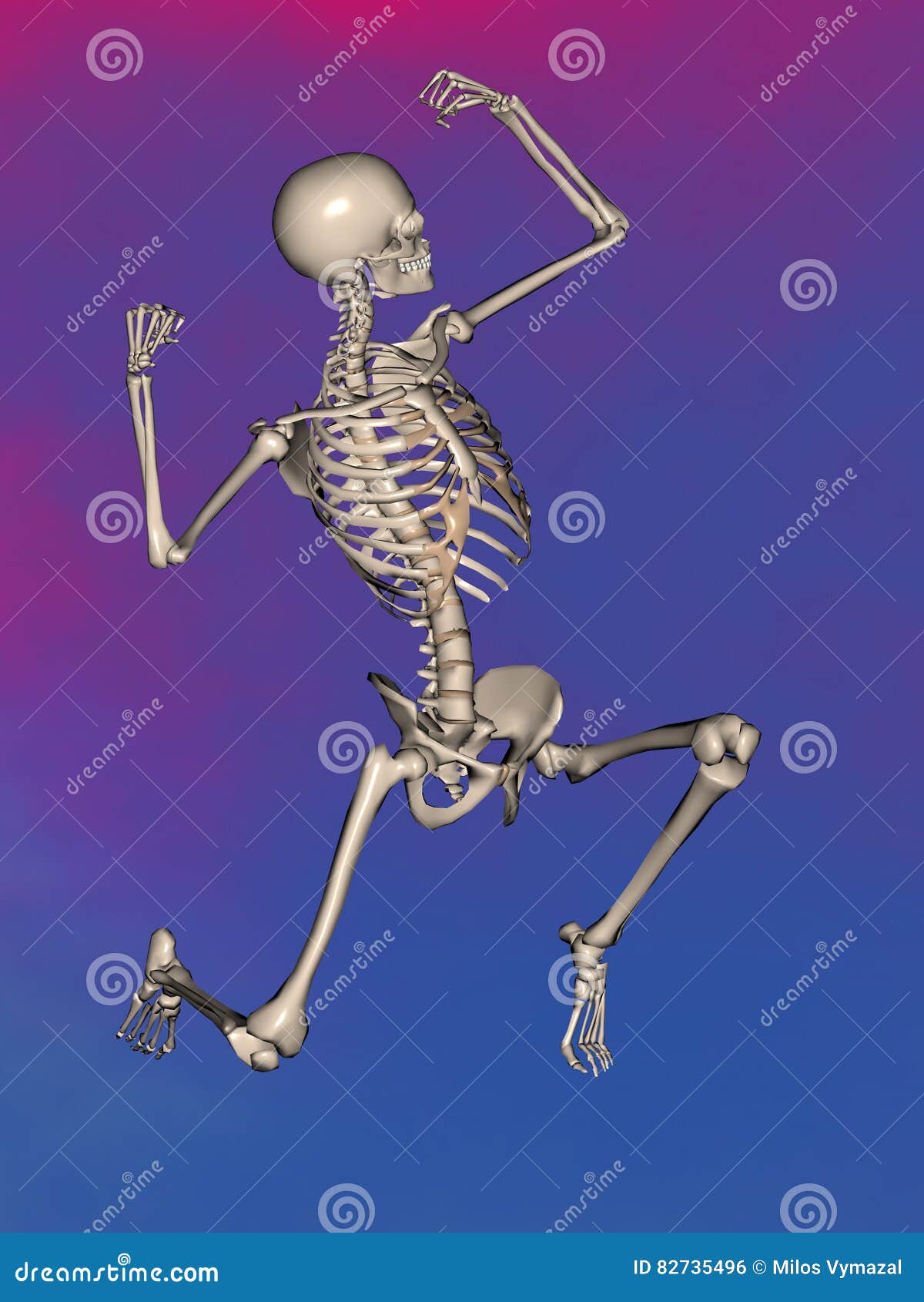 Human skeleton M-SK-POSE stock illustration. Illustration of body ...