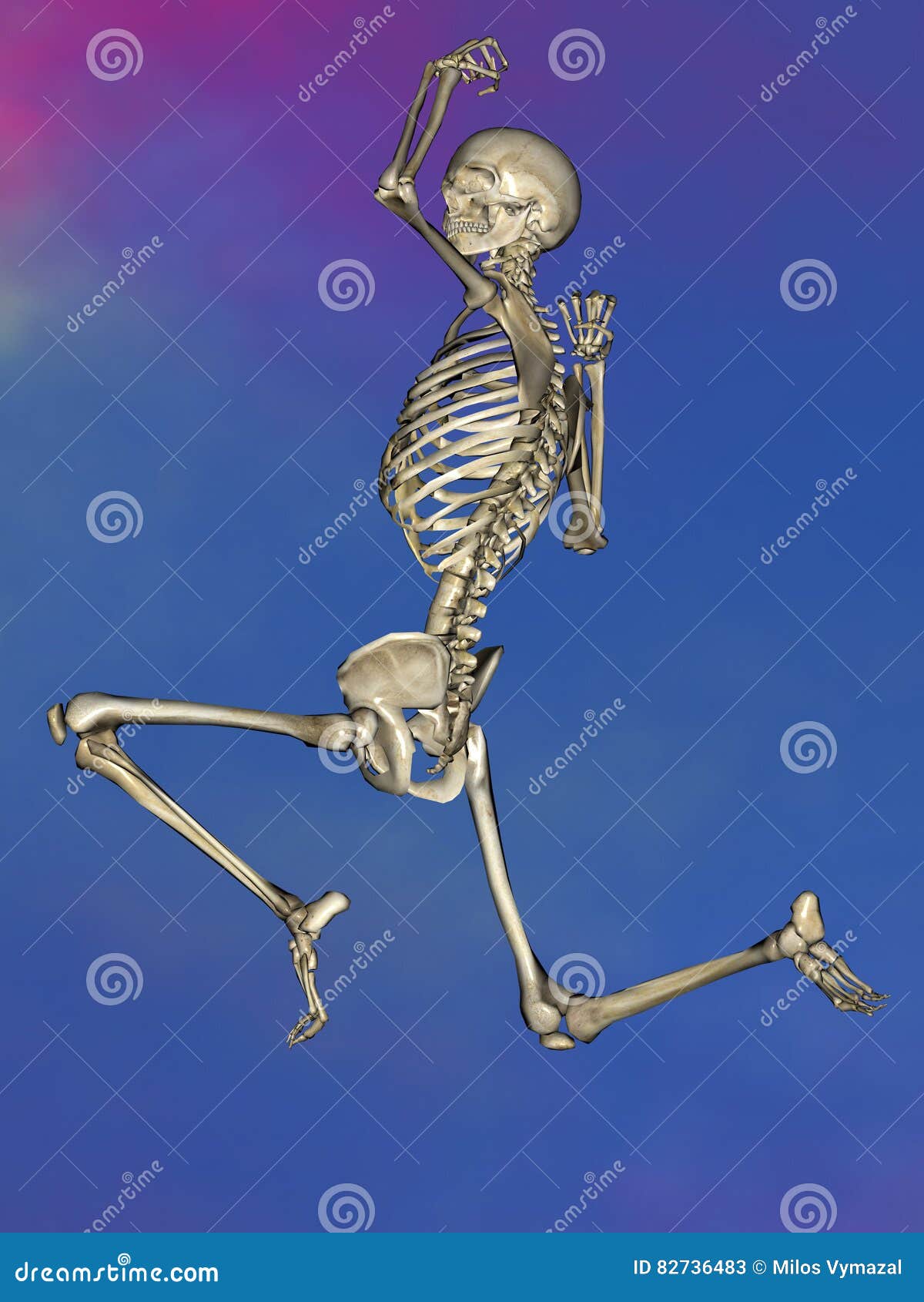 Human skeleton M-SK-POSE stock illustration. Illustration of medical ...