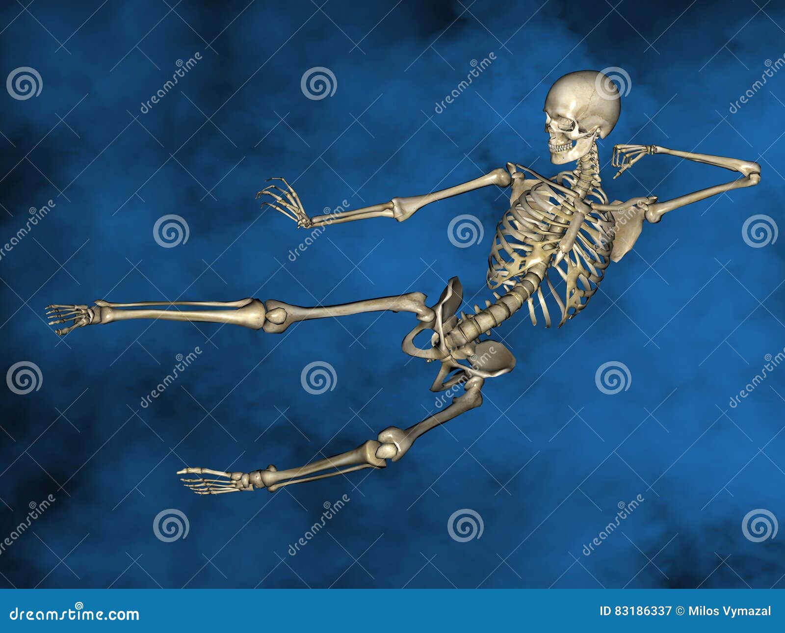 Human Skeleton M-SK-POSE Vfm-1-1, 3D Model Stock Illustration ...