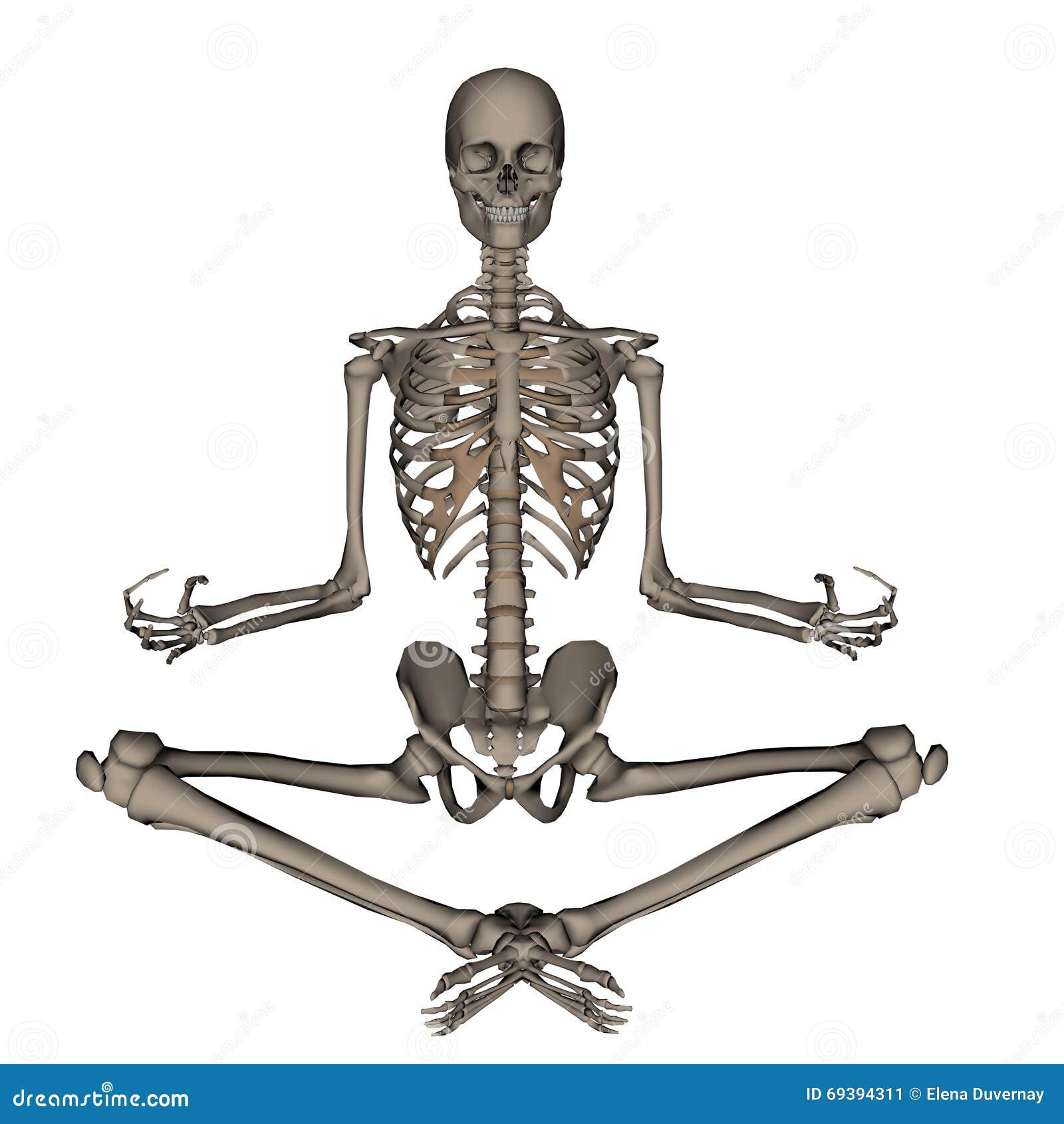 Human Skeleton Meditation- 3D Render Stock Illustration - Image: 69394311