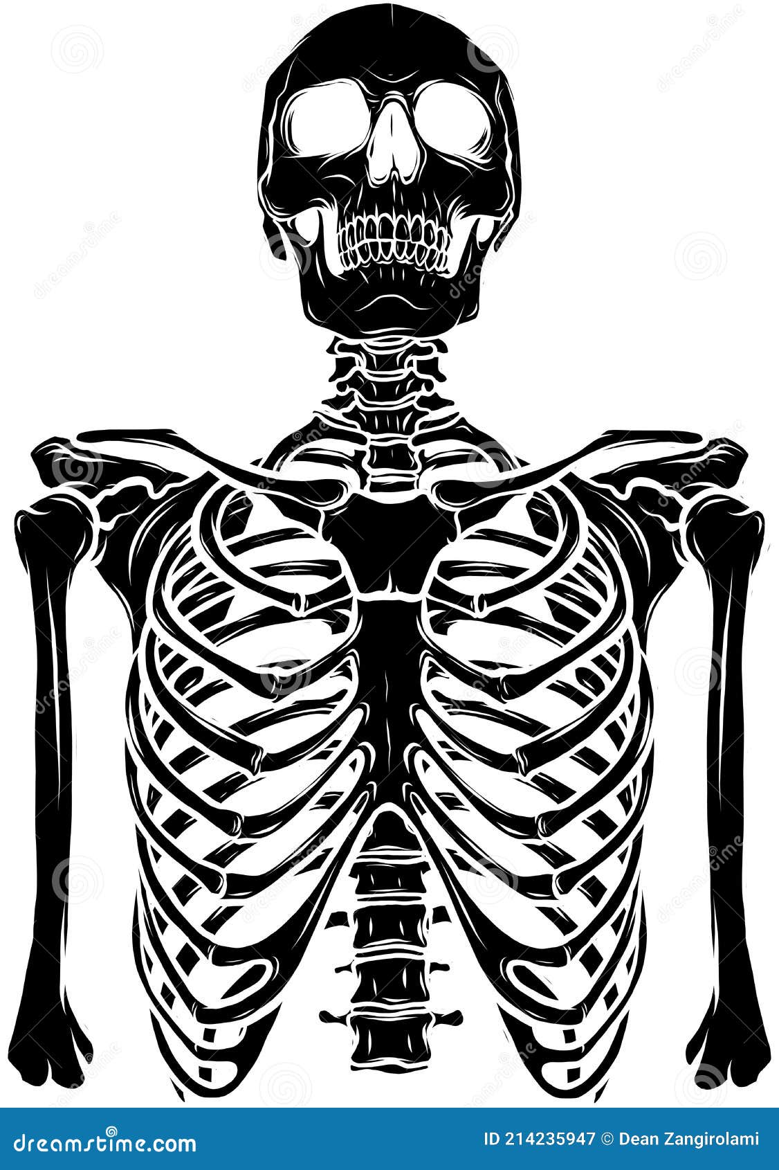 Black Silhouette of Human Skeleton on White Background Vector ...