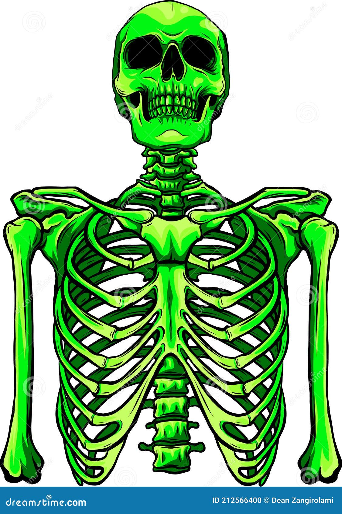 Green Human Skeleton on White Background Vector Illustration Stock ...