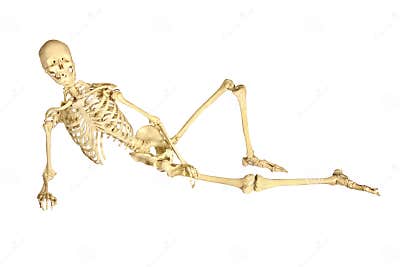 Human skeleton reclining stock image. Image of symbolic - 9167881