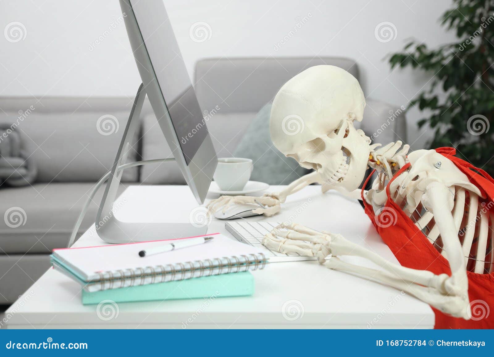 Human Skeleton in Red Dress Using Computer Stock Photo - Image of ...