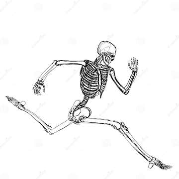 Human skeleton running stock vector. Illustration of grave - 96338573