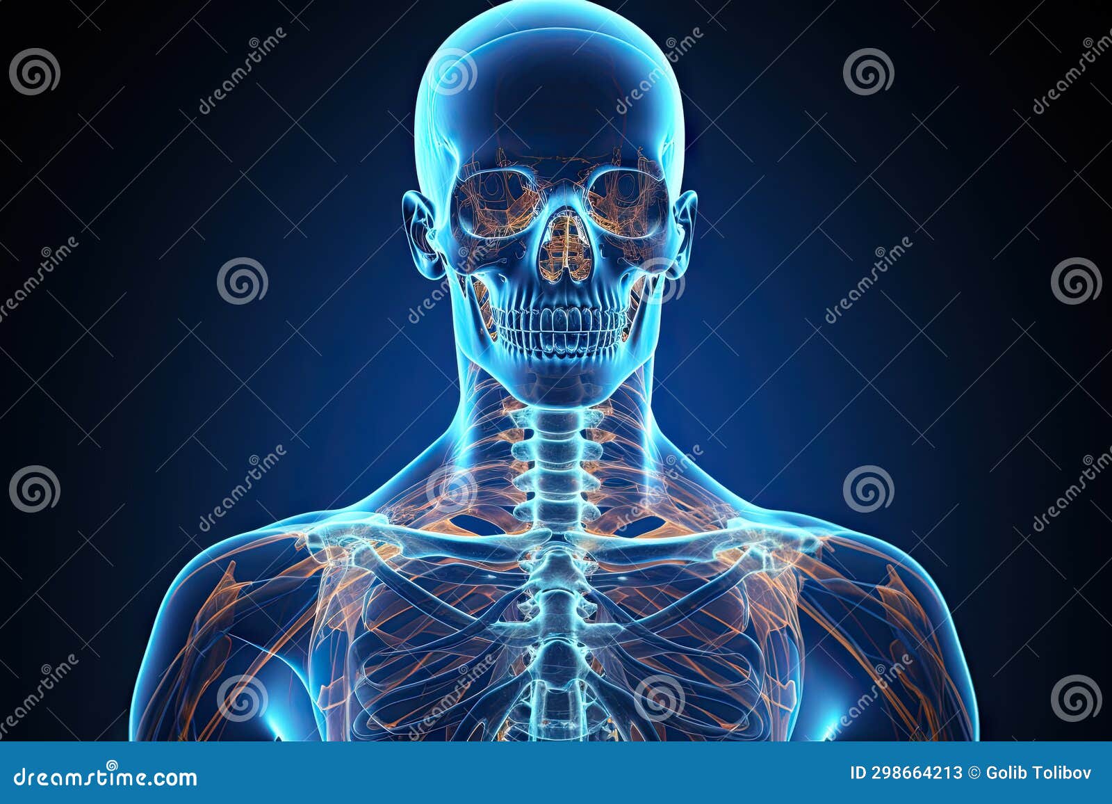 A Human Skeleton is Shown in this Image Created with Generative AI ...