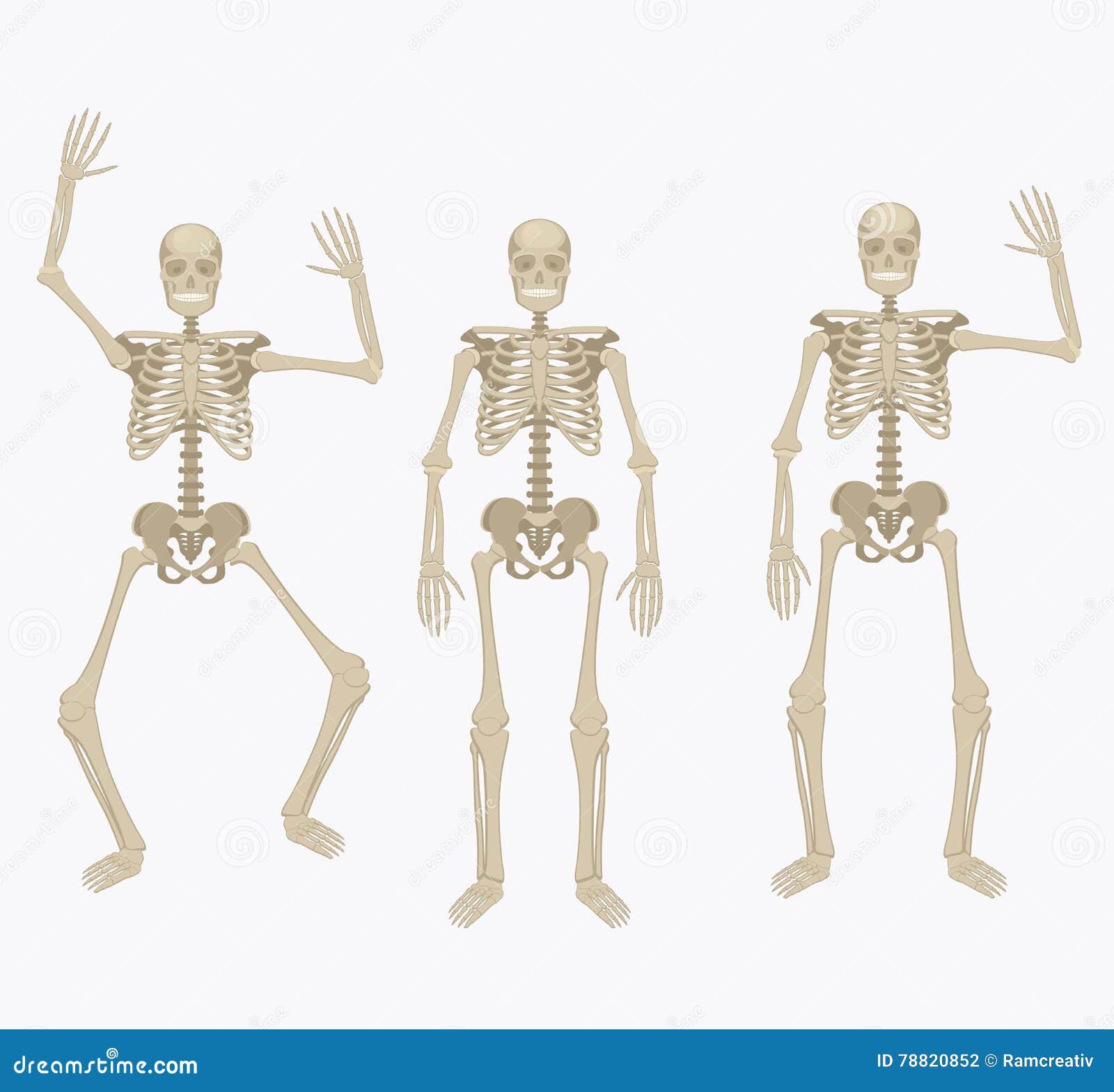 Skeleton Hand Positions
