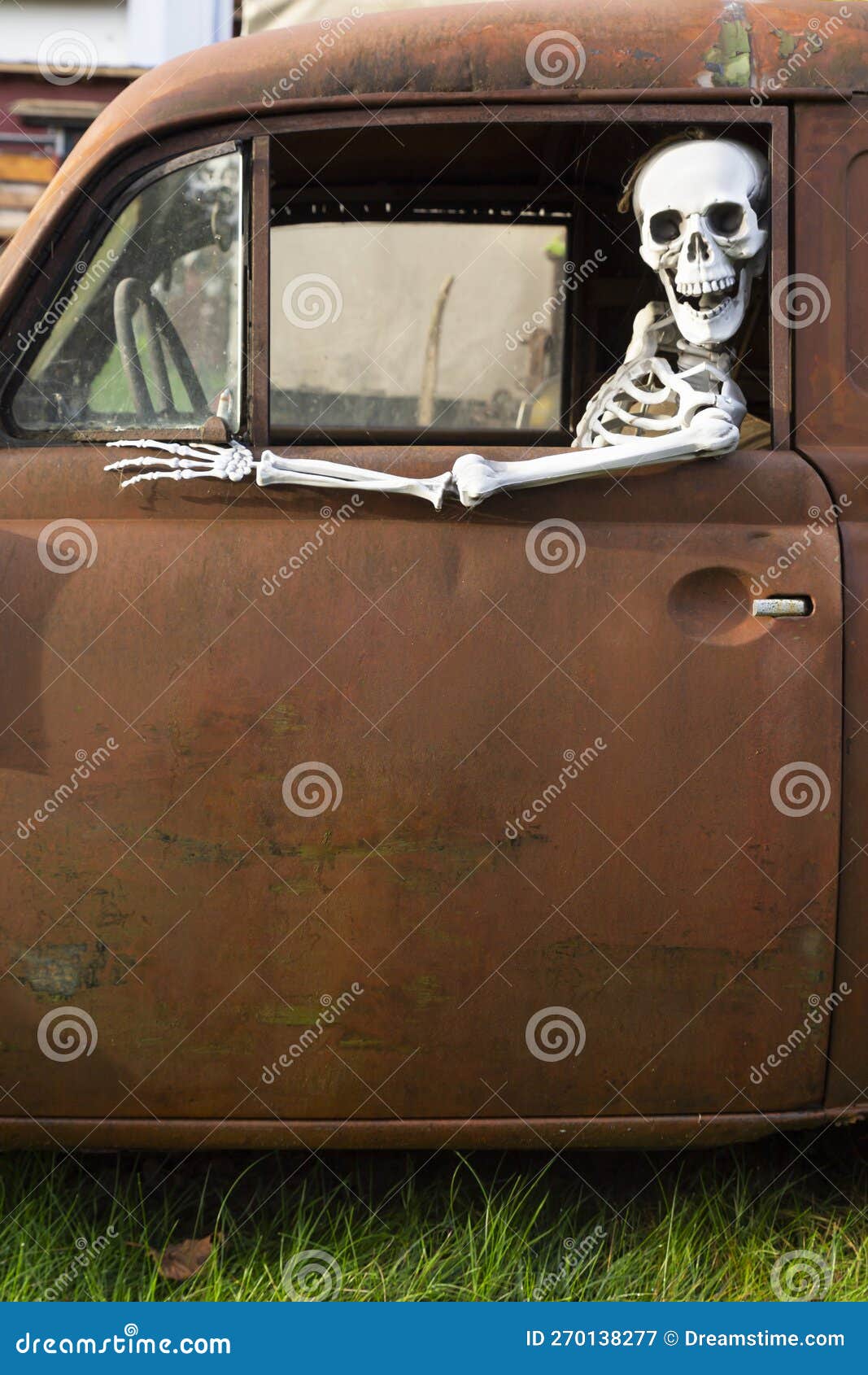 Human skeleton car driver stock image. Image of looking - 270138277