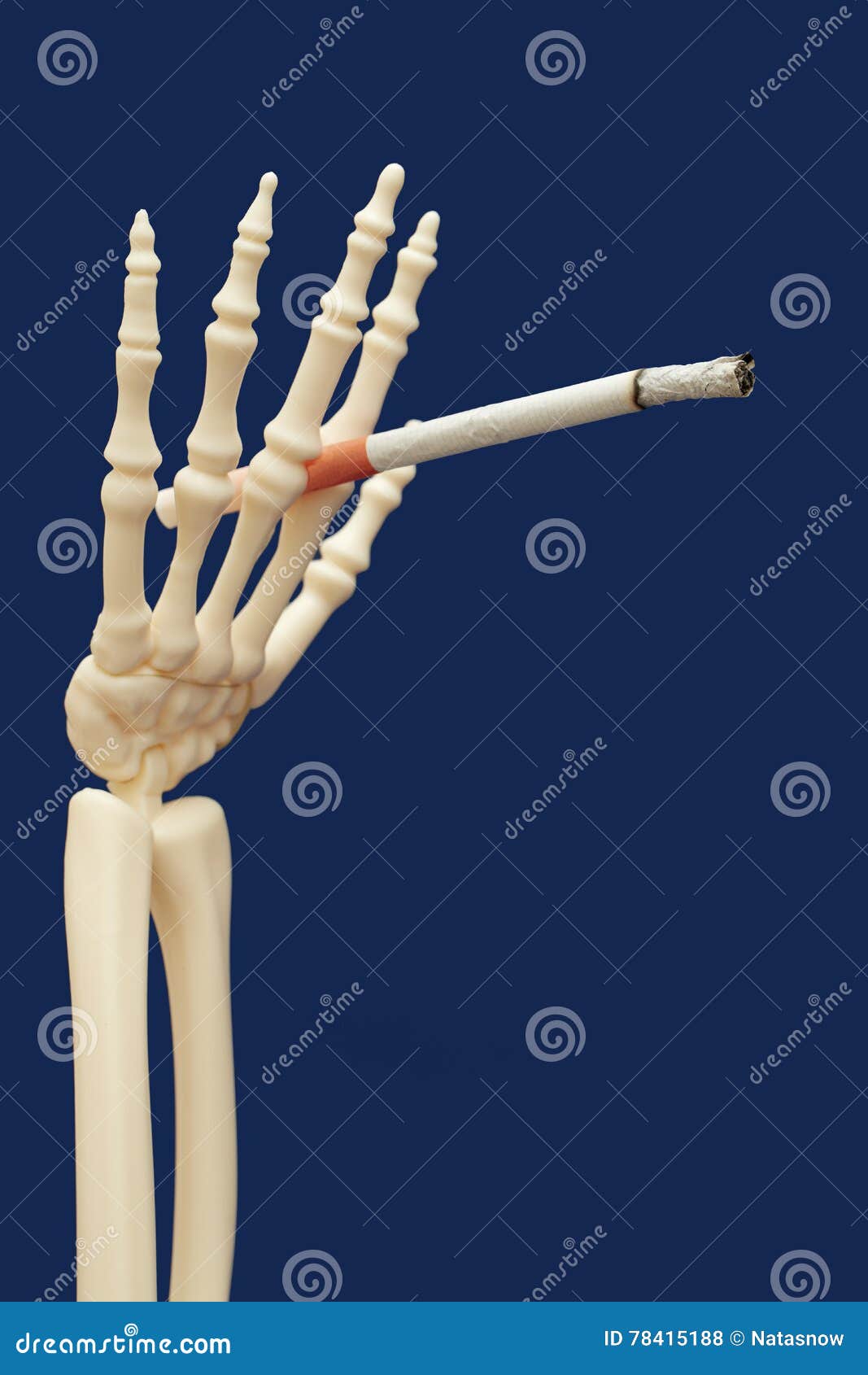 Human Skeleton Smoking and Using Drugs - Death Stock Photo - Image of ...