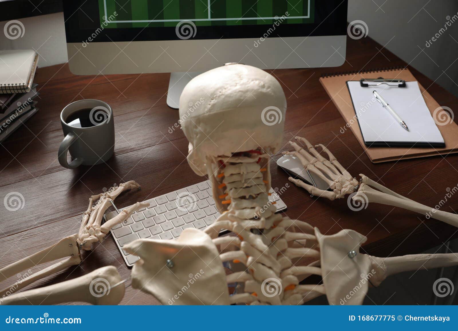 Human Skeleton at Table in Office Stock Image - Image of bone, drink ...