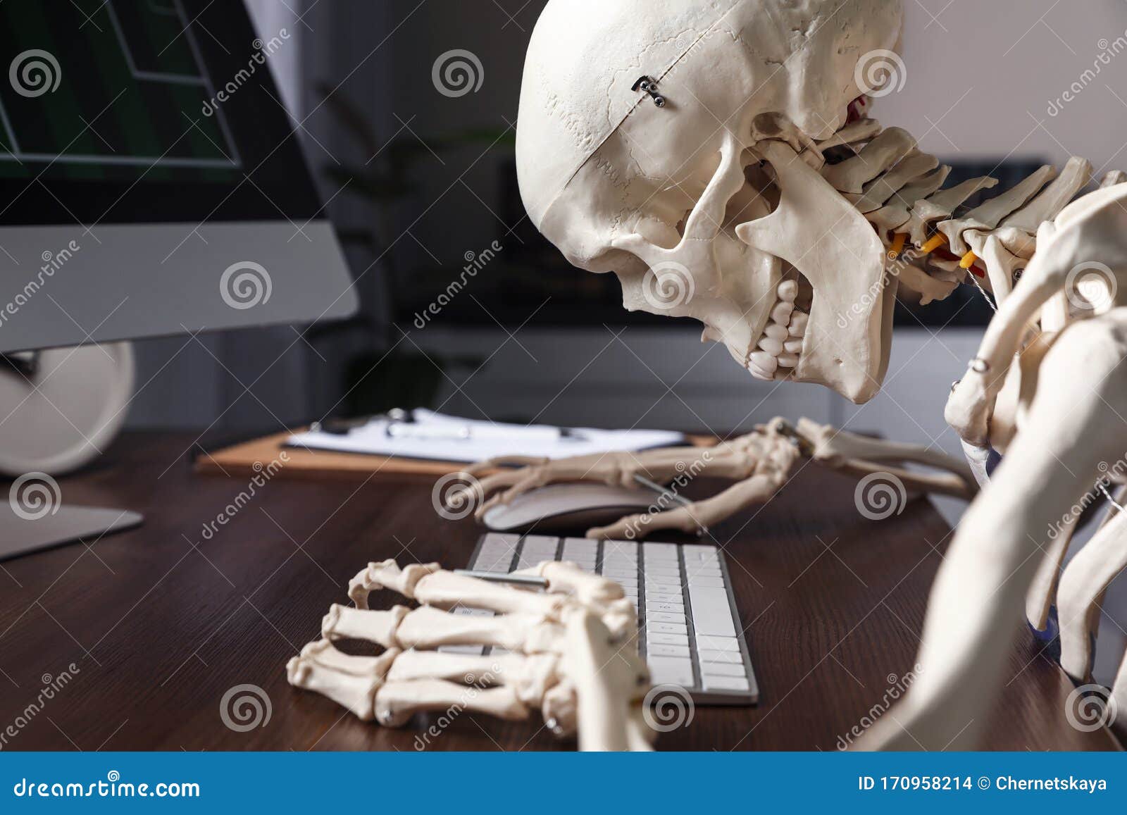 Human Skeleton at Table in Office Stock Photo - Image of desktop ...