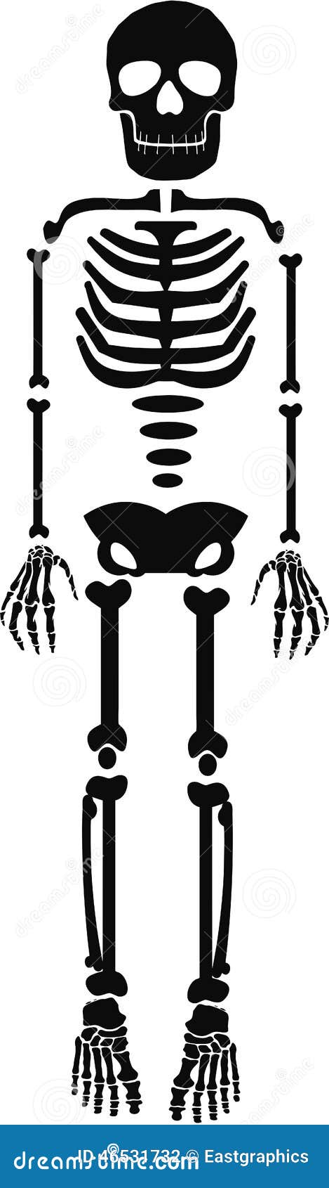 Bmp Skeleton Template