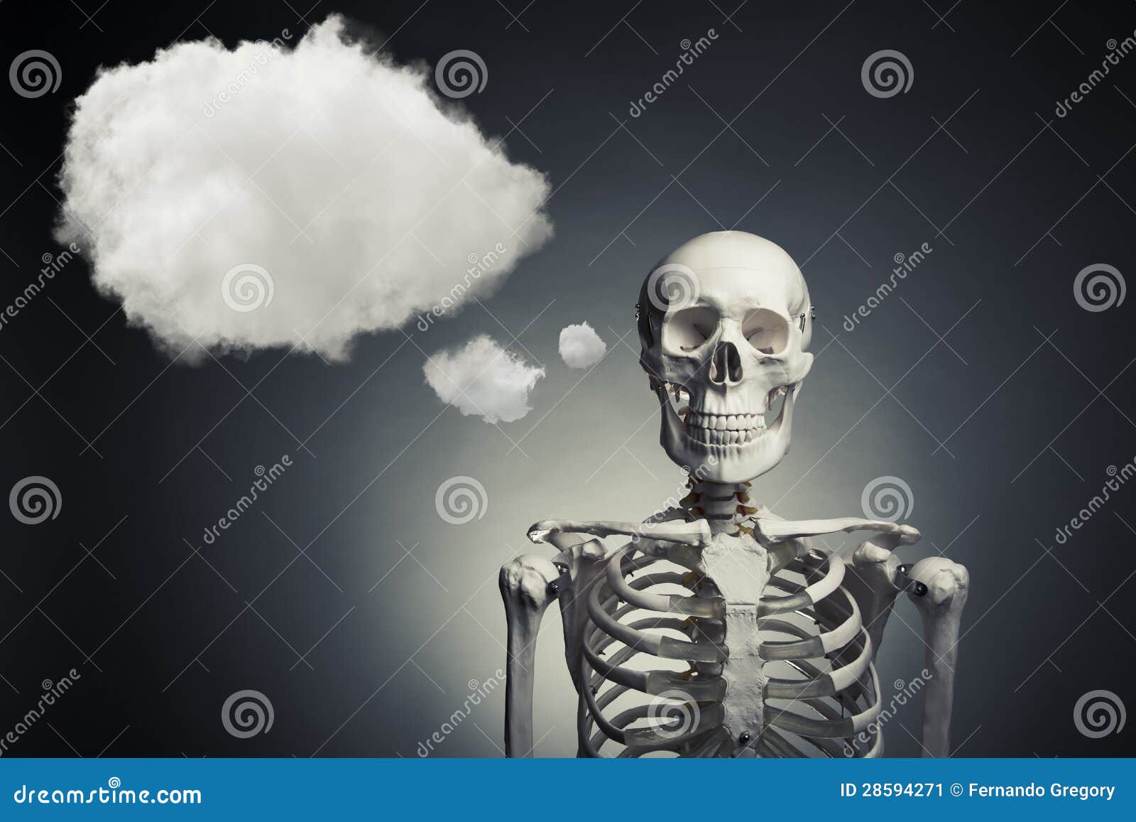 Human Skeleton Thinking on a Grey Background Stock Image - Image of ...