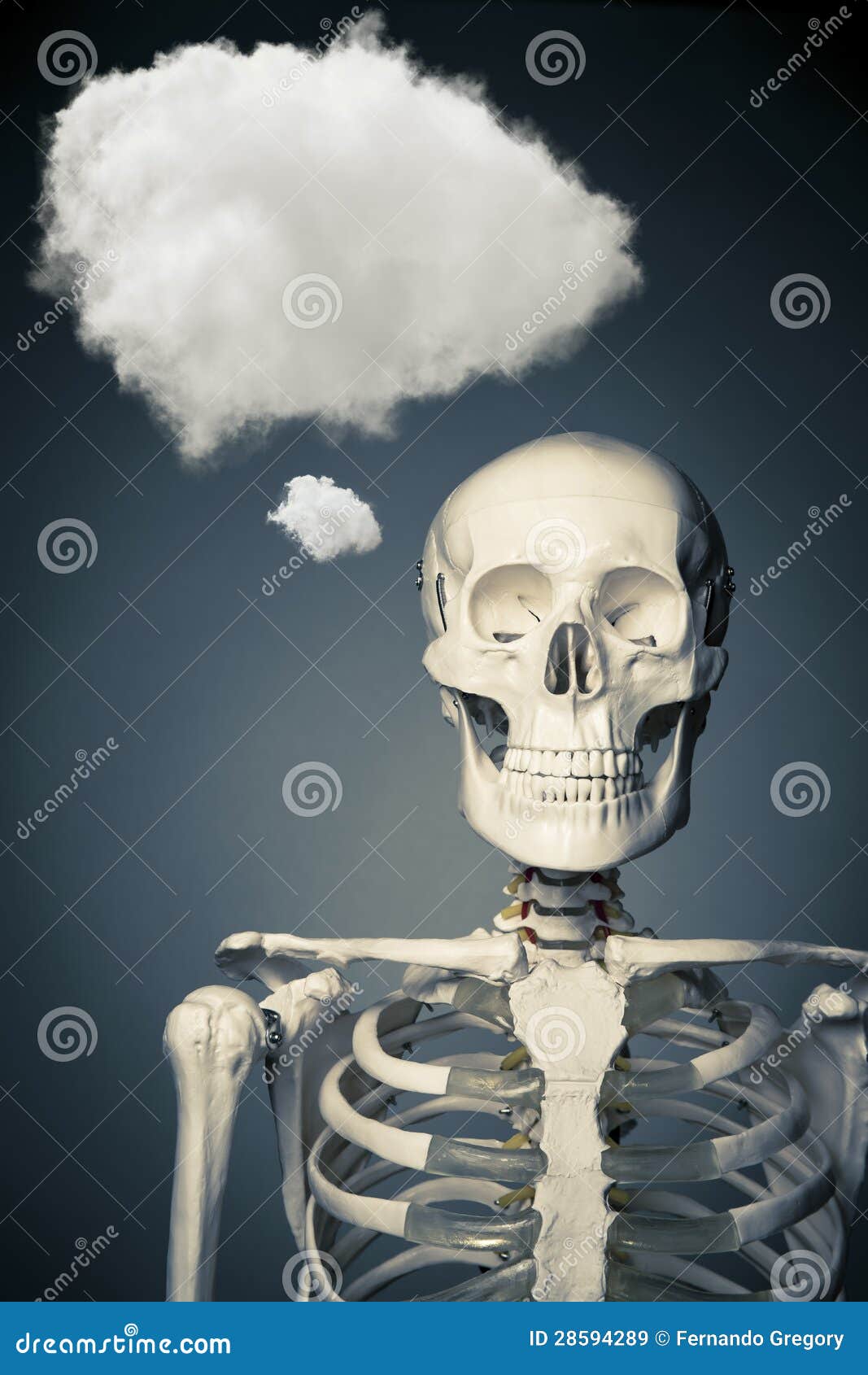 Human Skeleton Thinking on a Grey Background Stock Image - Image of ...