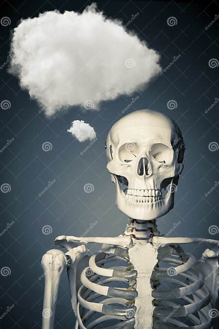 Human Skeleton Thinking on a Grey Background Stock Image - Image of ...