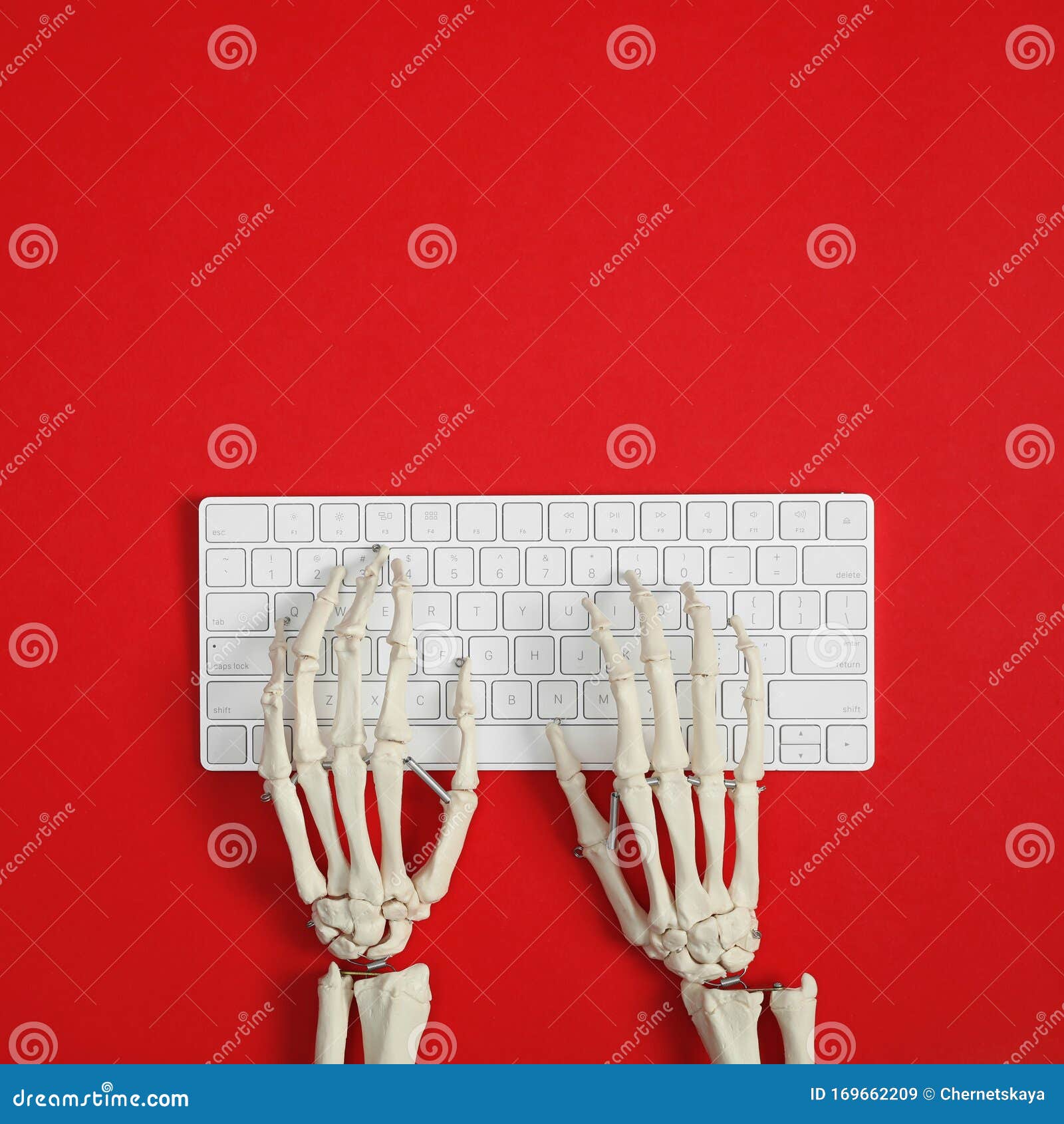 Human Skeleton Using Computer Keyboard On Red Background. Space For ...